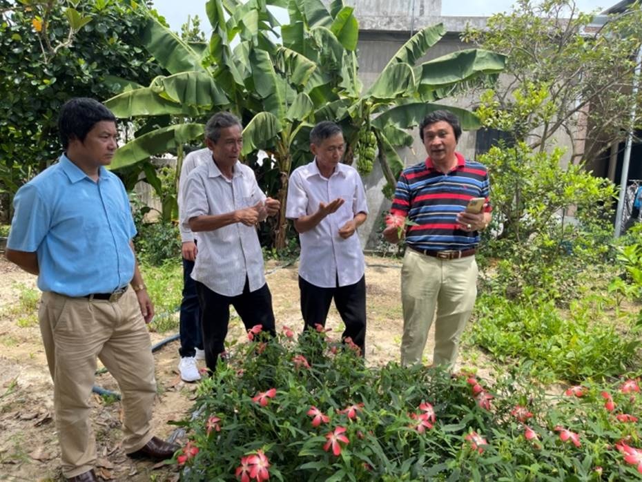 Khát vọng nâng tầm giá trị sâm Việt